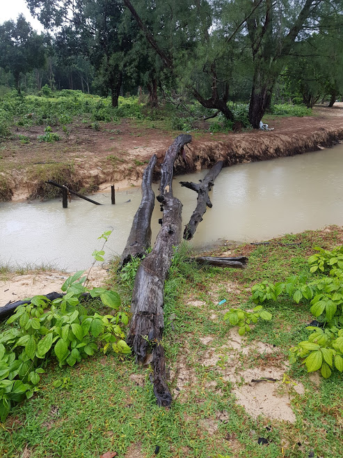 The incredible journey – The Burnout Blog